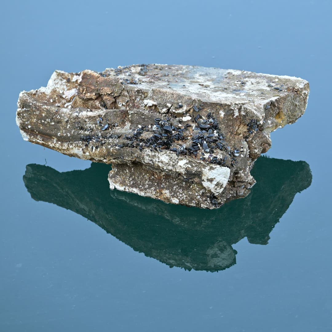 Romulus Mining